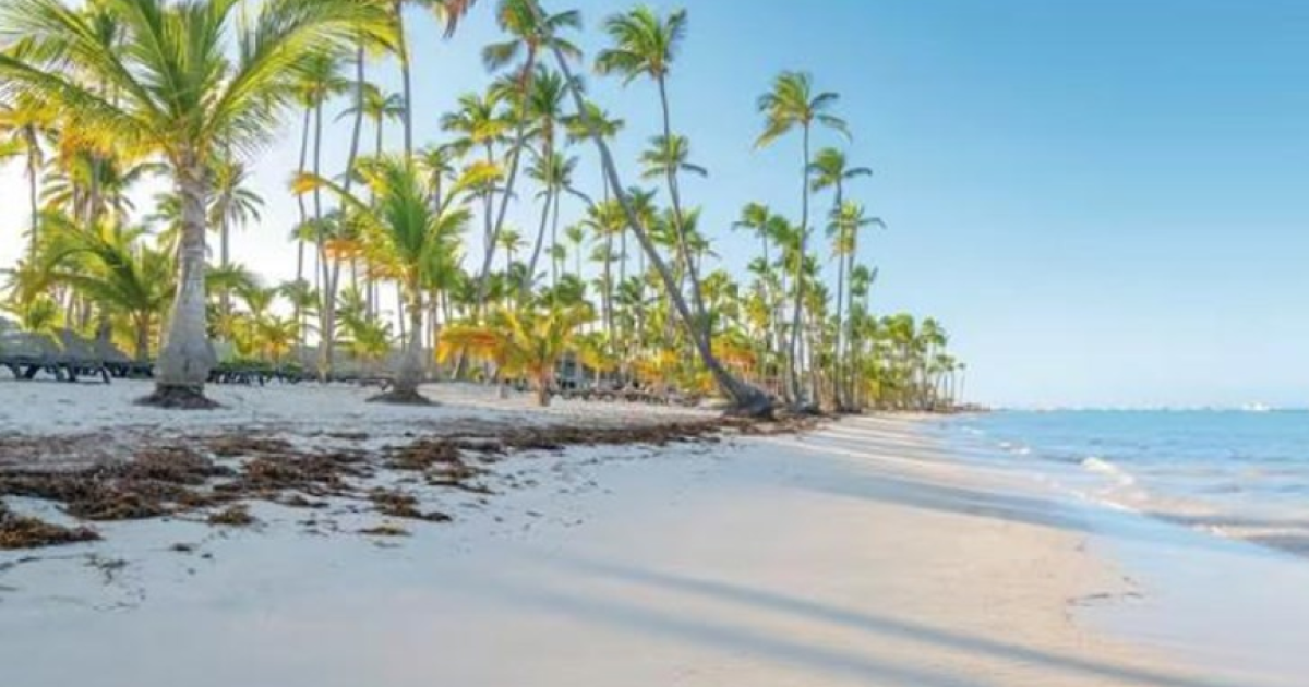 Direct Flights to The Dominican… | Belfast International Airport
